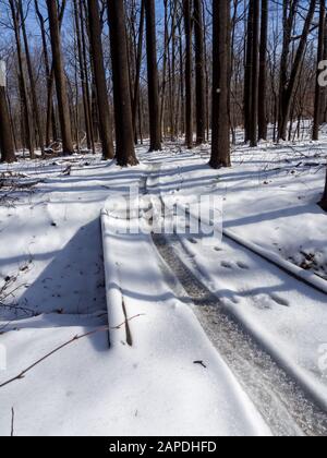 frozen path in the reservation in winter Stock Photo - Alamy