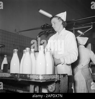 Milk factory in Denmark Description: Workers on the assembly line where ...