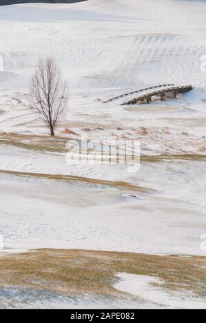 Barren trees on a snow covered landscape Stock Photo - Alamy