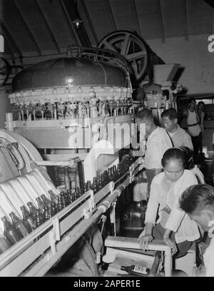 Opening of the brewery in the Lower Town of Batavia Description: Beer ...