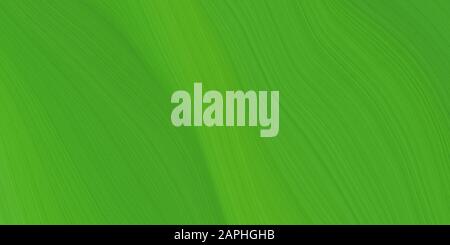 elegant creative banner with moderate green, light sea green and yellow ...