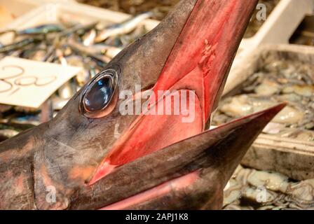 Marlin and other Fresh fishes and crustaceans at fish market stall ...