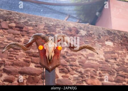 Medieval goat skull Stock Photo - Alamy