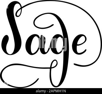 Sage text hand drawn lettering isolated on white background Stock ...