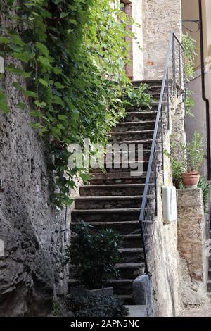 Red rock wall with green vines hanging Stock Photo - Alamy