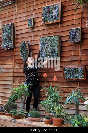Georgina Duff pictured adjusting the frames full of succulents at the ...