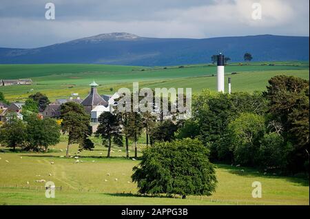 Ardmore Distillery Kennethmont Scotland Stock Photo - Alamy