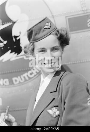 KLM staff corporate identity and Schiphol A KLM flight attendant poses ...