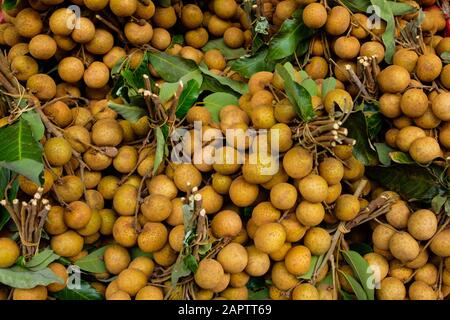 Fresh longan fruit on the market. close up details of longan fruit or ...