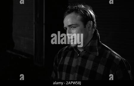 ON THE WATERFRONT 1954 Columbia Pictures film with Eva Marie Saint and ...