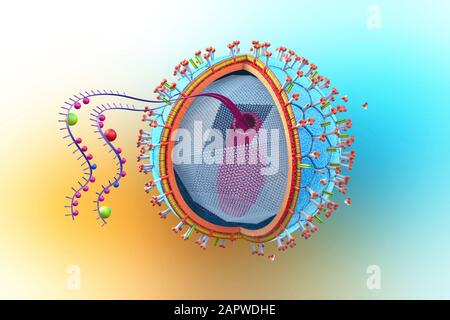 Illustration of the structure of an AIDS virus particle Stock Photo - Alamy