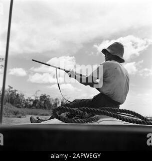 Travel to Suriname and the Netherlands Antilles Man ploughing with a ...