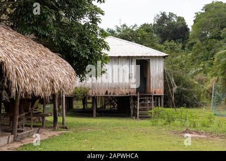 Typical local wooden houses on small village in the Amazon Rainforest ...