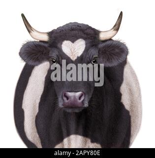 Illustration cow face realistic Stock Photo - Alamy