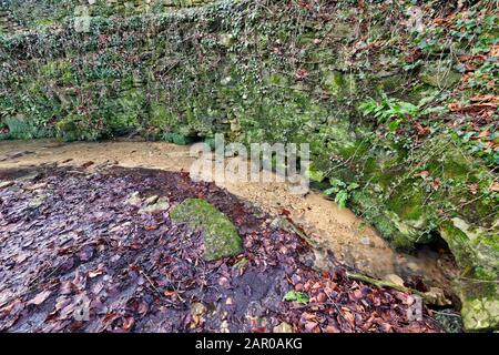 Seven Springs - source of the River Churn (longest tributary of the ...