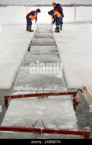 Workers rafting ice blocks along a channel cut out by a frozen lake ...
