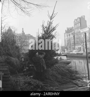 First Christmas trees at the flower market in Amsterdam Date: 8 ...