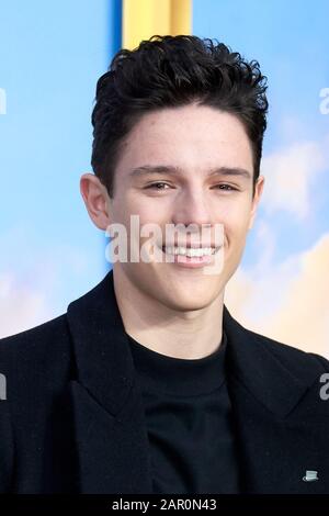 Harry Collett attends the "Dolittle" special screening at Cineworld ...