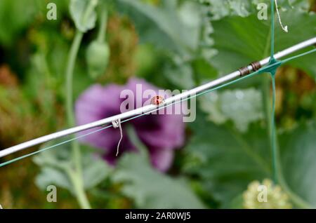 Achieve against green and black circuit board Stock Photo - Alamy