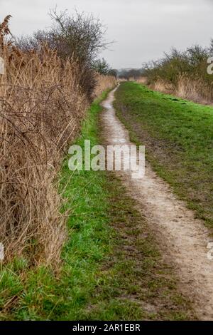 RSPB Otmoor national nature reserve in Oxfordshire England Stock Photo ...