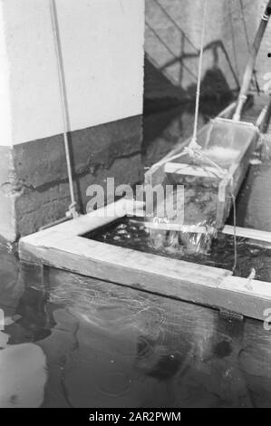 poldering and milling, waterground Date: July 1958 Keywords: poldering ...