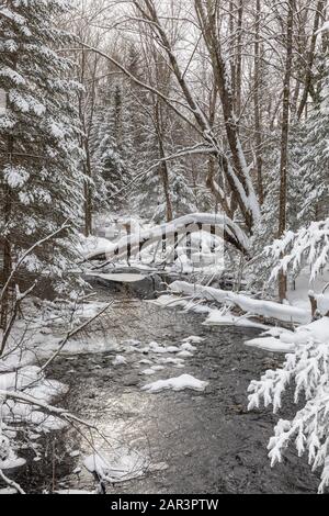 creek in the woods nature winter flowing water, landscape small river ...