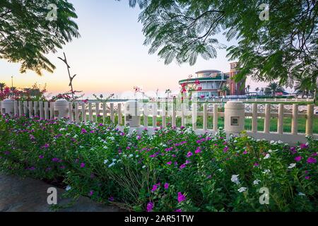 Beautiful flower gardens inside Al khobar park - City : Khobar, Saudi ...
