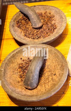 Europe, Netherlands, Zaanse Schans, a brown and white cow standing on ...