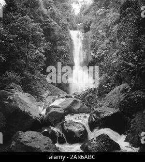 East Java (Pasuruan, Tosari and Poespo) [landscape] Date: February 5 ...