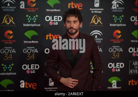 Actor Paco Leon attends the 34th edition of Spanish Film Academy's Goya ...