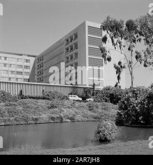 Petah Tikwa. Beilinson hospital buildings Date: 1 January 1960 Location ...