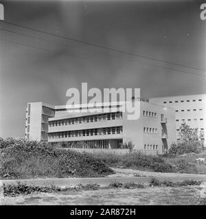 Israel 1948-1949: Haifa Government Hospital Date: 1948 Location: Haifa ...