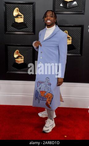 Jetsonmade at the 62nd Annual Grammy Awards, Arrivals, Los Angeles, USA ...