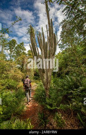 Cotubanama National Park in Dominican Republic 8 Stock Photo - Alamy