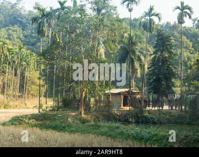 January 17, 2020: The village of Mayong near Pobitora Wildlife ...