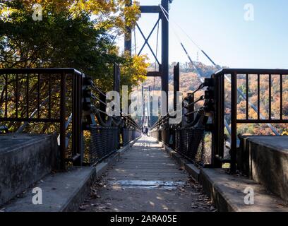 Osaka, Japan - 8 December 2019 : Suspension Bridge surrounded by ginkgo ...