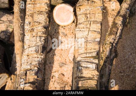 sawbuck, homemade saw buck, DIY, cut, cutting wood (CTK Photo/Libor ...