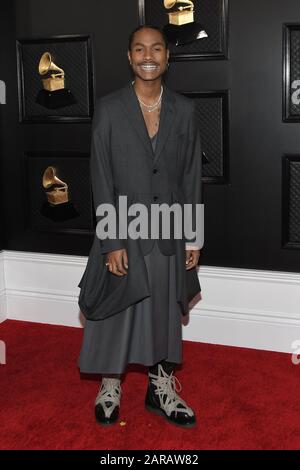 Steve Lacy at the 62nd Annual Grammy Awards, Arrivals, Los Angeles, USA ...