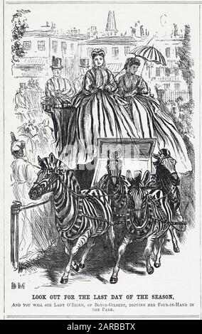 PUNCH/ ZEBRA DRESSES Stock Photo - Alamy
