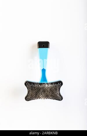 a small dog hairstyle for animals isolated background Stock Photo - Alamy