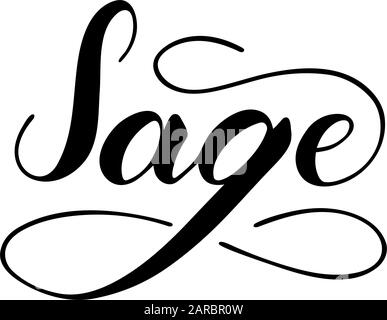 Vector hand written sage text isolated on white background. Kitchen ...