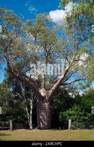 Australia, historic Springvale Homestead in Katherine Stock Photo - Alamy
