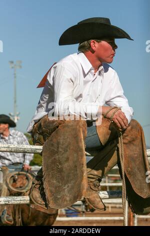 Arizona National Livestock Show, Phoenix, Arizona Stock Photo - Alamy
