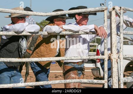 Arizona National Livestock Show, Phoenix, Arizona Stock Photo - Alamy