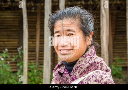 Apatani tribal woman with traditional yaping hullo (nose plugs) and ...