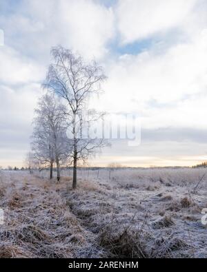 Winter landscape. Fields covered with the first snow Stock Photo - Alamy
