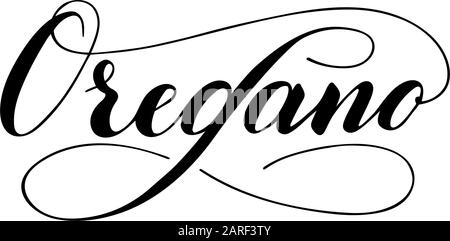 Vector hand written oregano text isolated on white background. Kitchen ...