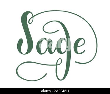 Vector hand written sage text isolated on white background. Kitchen ...