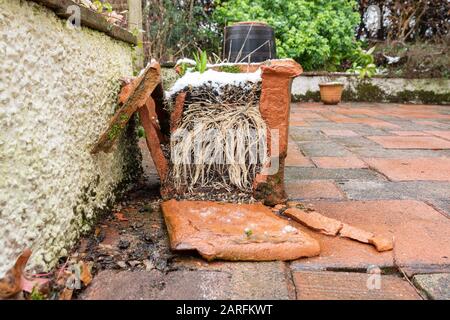 Frost damage to terracotta pots - Scotland, UK Stock Photo - Alamy