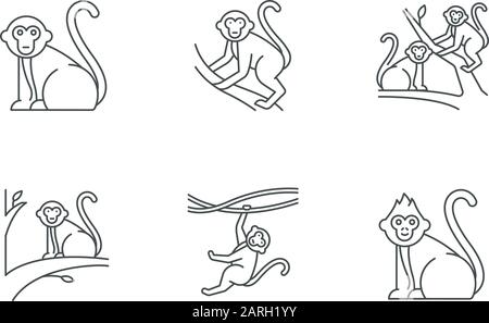 Monkeys climbing tree in the jungle illustration Stock Vector Image ...